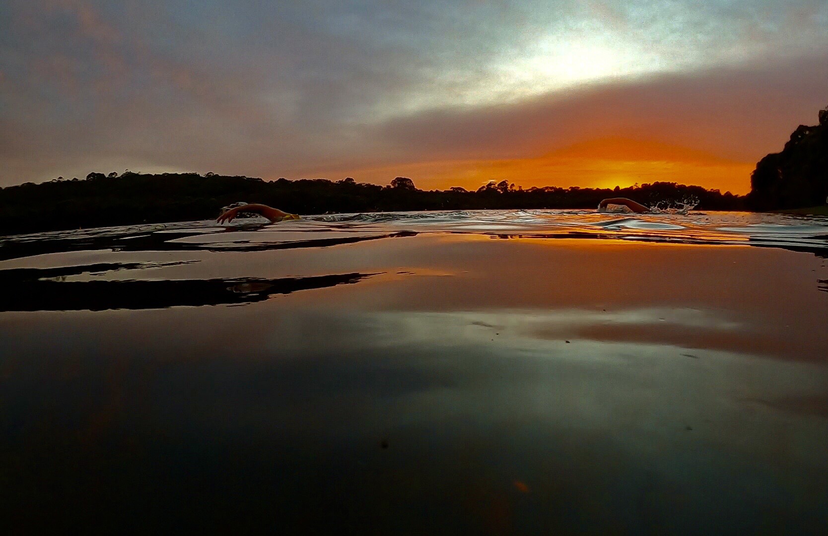Solstice Swim Manly Dam – ANOTHER LEVEL PERFORMANCE
